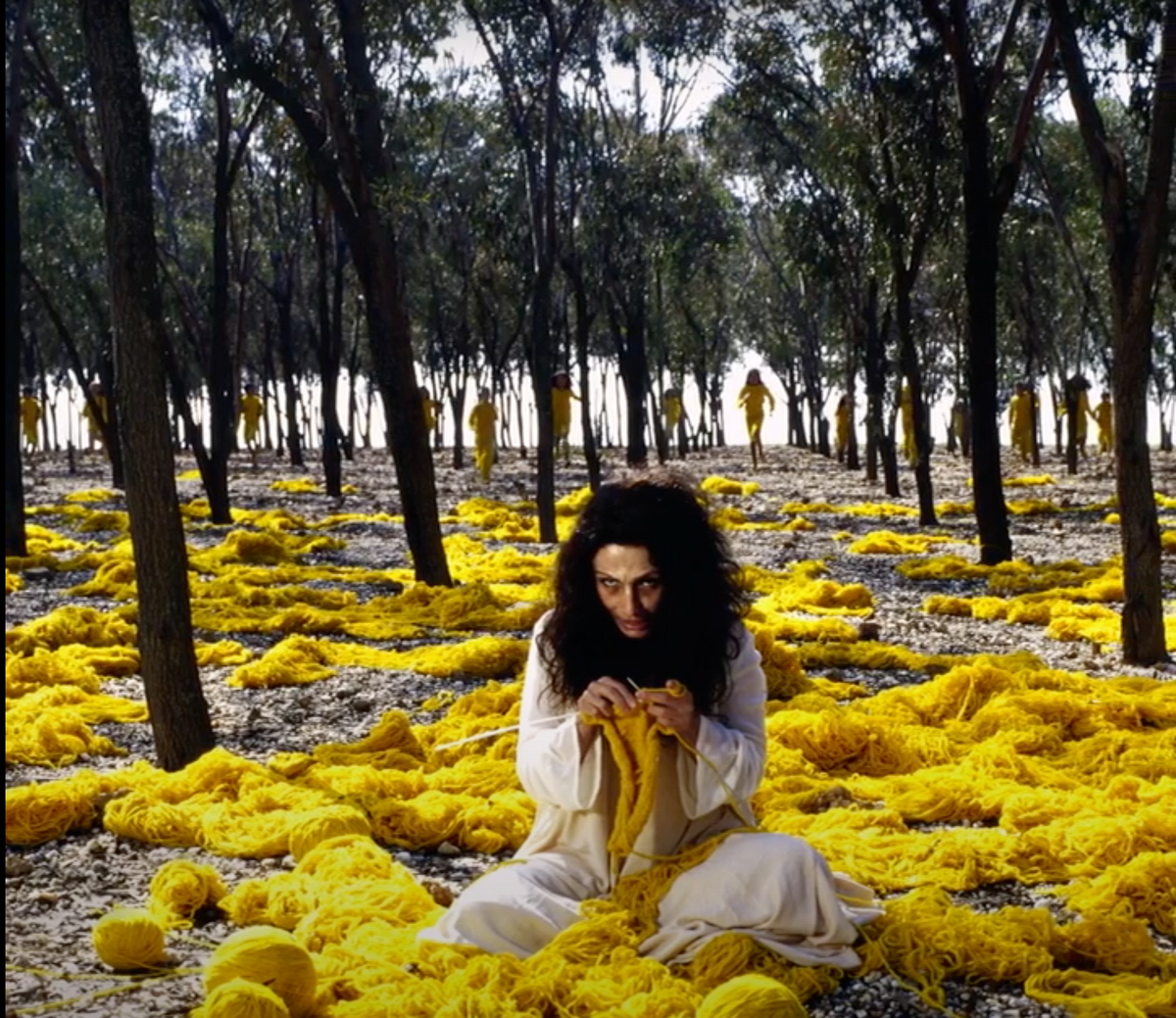 Rapture, Sussan Deyhim's score for Shirin Neshat's video installations ...